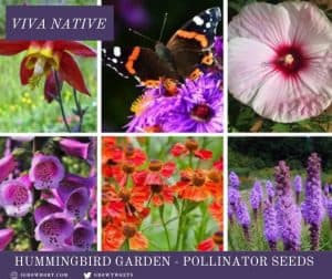 iGrowHort – Grow Naturally